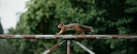 Bookstack Release V2310 New My Account Area Updated Editor Design