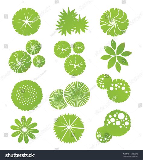 Trees Top View Landscape Design Stock Vector Royalty Free Shutterstock
