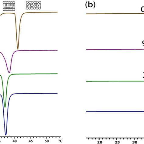 Calculated Nmr Deuterium Order Parameters Scd For Dppc Bilayer With Download Scientific
