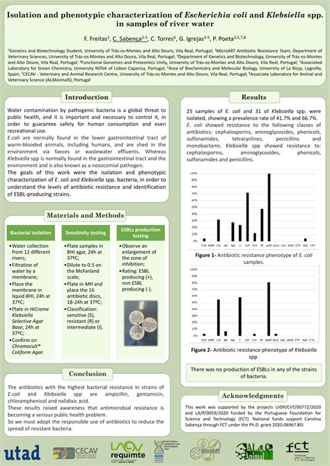 Pdf Isolation And Phenotypic Characterization Of Escherichia Coli And Klebsiella Spp In