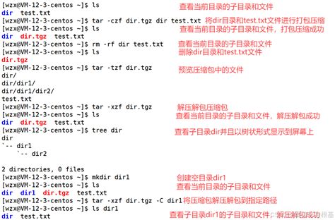 【linux】linux的基本指令之date 时间戳 Cal Find Grep Zipunzip Tar Bc Unname 常用热键 Shutdown 指令运行的原理 Csdn博客 【linux】linux的基本指令之date 时间戳 Cal Find Grep Zipunzip Tar Bc Unname 常用热键 Shutdown 指令运行的原理 Csdn博客