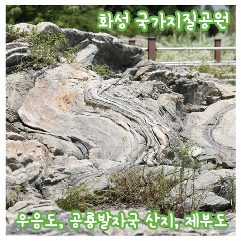 화성 국가지질공원 우음도 공룡알 화석 산지 제부도 서해랑 케이블카 네이버 블로그