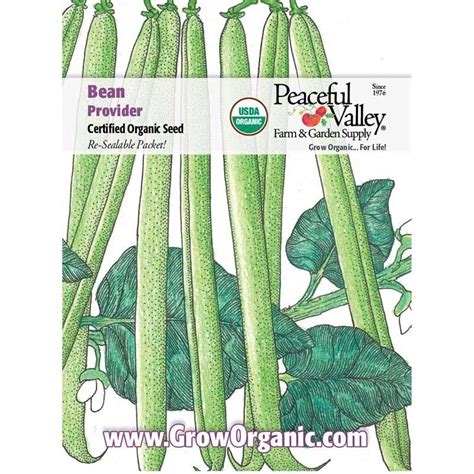 Provider Bush Bean Seeds Organic Grow Organic Grow Organic Bush