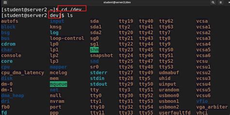 Understanding Linux File Hierarchy — A Beginner Friendly Guide With Use