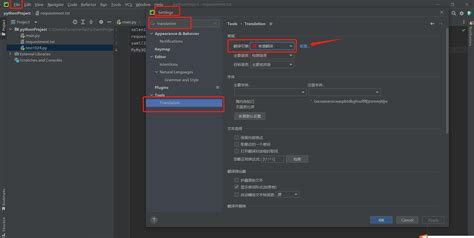 pycharm中的翻译插件如何安装以及常见问题 种下一颗树 博客园