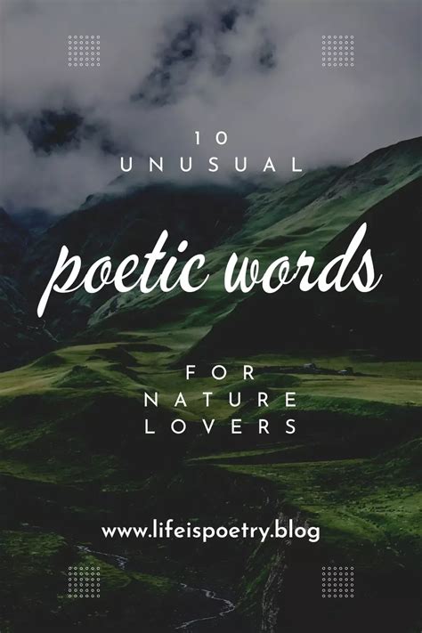 10 Poetic Nature Words For Inspiration 10 Profoundly Poetic Nature