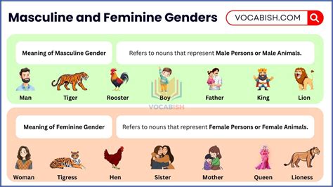 Masculine And Feminine Genders Meaning Rules And Examples