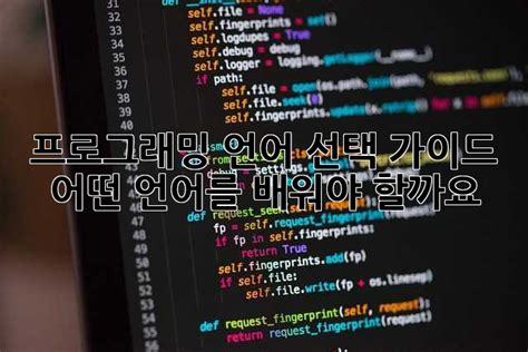 프로그래밍 언어 선택 가이드 어떤 언어를 배워야 할까요