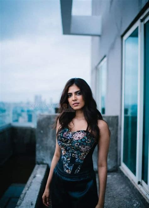 Sexy Malavika Mohanan Beautiful Photo 01 (217707) | Kollywood Zone