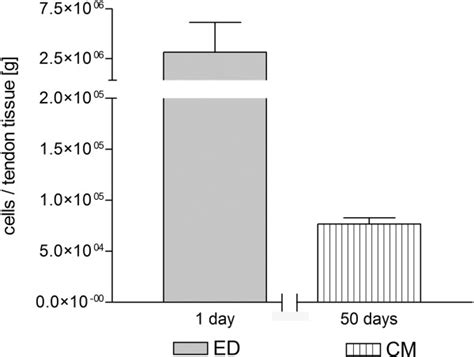 Yield Of Cells Cell Yield After Both Isolation Methods And Normalized