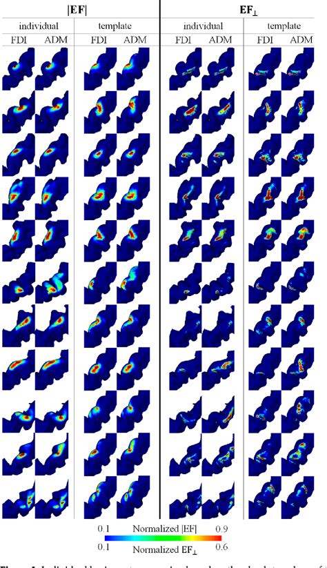 Figure 3 From Mapping Brain Motor Functions Using Transcranial Magnetic Stimulation With A