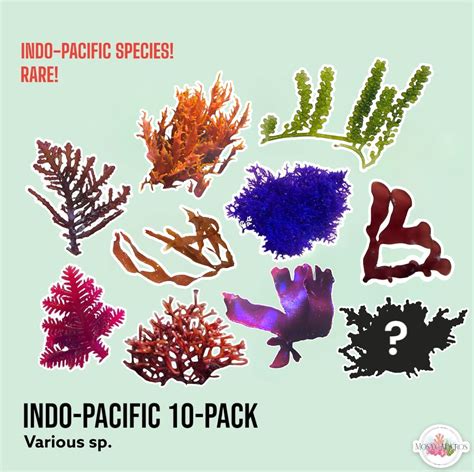 Products Mosaicmacros