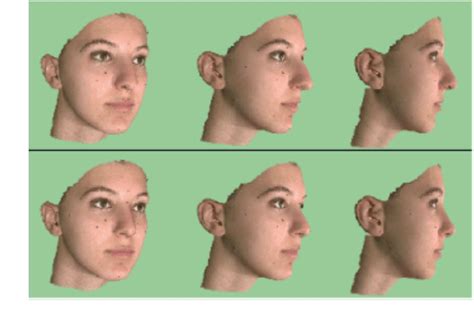 Figure From Computer Analysis Of Face Beauty A Survey Semantic Scholar
