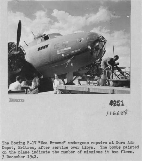 Usaaf Photo Gallery