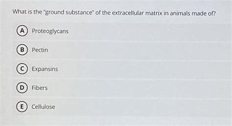 Solved What Is The Ground Substance Of The Extracellular