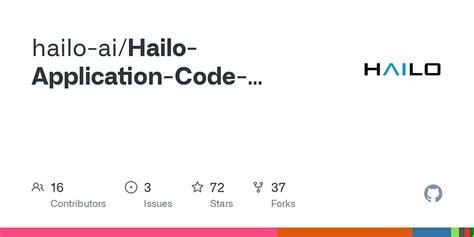 Running The Project Hailo Application Code Examples General Hailo Community
