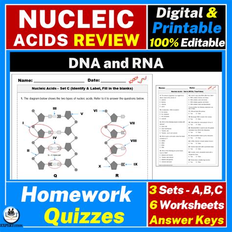 Nucleic Acids Dna And Rna Review Assessment Expertuition
