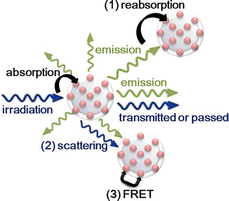 Schematic For The Processes During Irradiation Of Sqs Particle Suspension Download Scientific