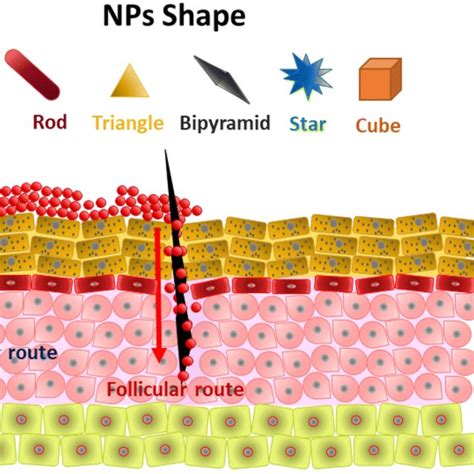 Schematic Representation Of A Plasmonic Nps With Different Geometries