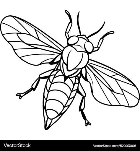 Common Beetle Bug Play Icon Royalty Free Vector Image