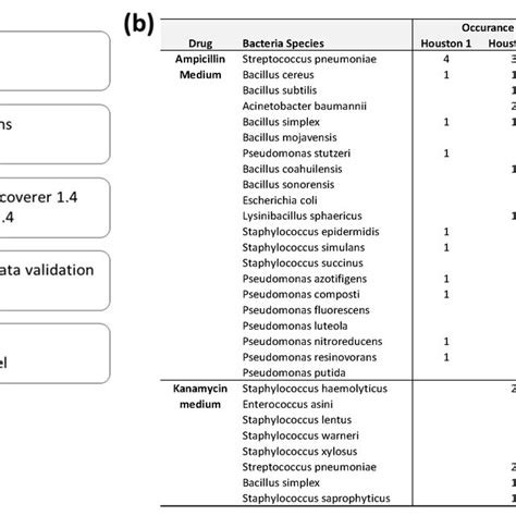 A Schematic Illustration Of Workflow For Identification Of Bacteria