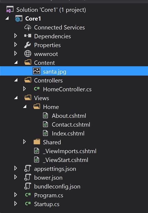 C Mvc Core 11 Image Will Not Show On View Cannot Find Path Or