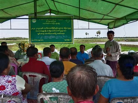 ကျွန်းစုမြို့တွင် ဒေသဝမ်းစာ ဖူလုံစေရန်နှင့် ပန်းတိုင်အထွက်နှုန်း ရရှိစေရန်အတွက် မျိုးစပါးများန