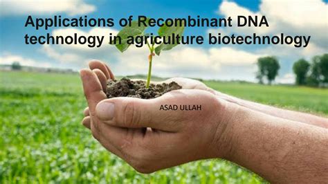 Solution Applications Of Recombinant Dna Technology In Agriculture