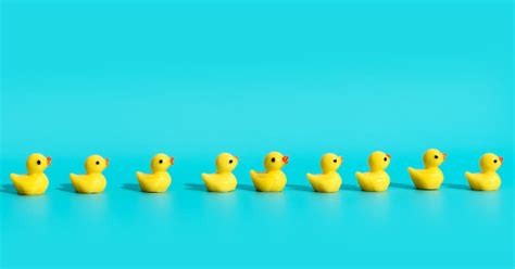 Caspa Is Open Avoid These Common Application Mistakes Duke University School Of Medicine