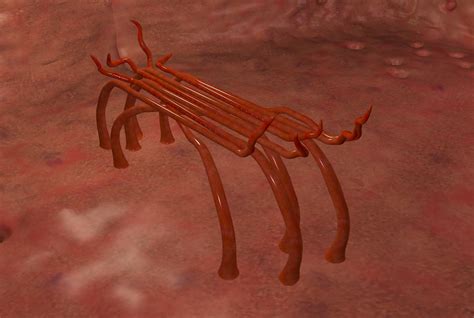 Tentacle Bed Asset Assets Accessories Virt A Mate Hub