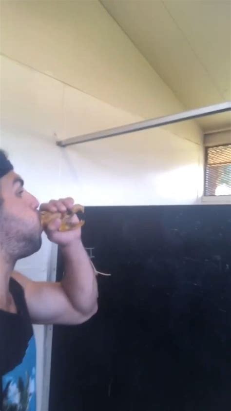 ⚙️ 🚽 Pi Gang 🚽 ⚙️ Bathroomhumor • Instagram Photos And Videos