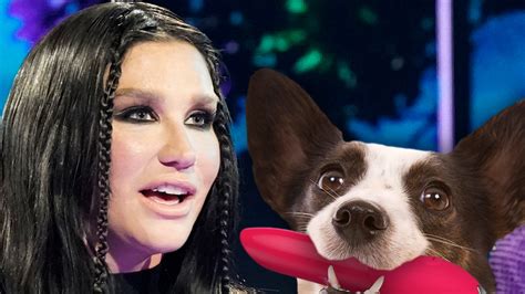 Kesha Getting New Vibrator From Sex Toy Company After Dog Chewed Hers Up