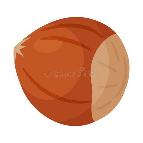 Whole Hazelnut In Shell Unpeeled Nut Cartoon Trendy Flat Style Isolated Icon Stock Illustration