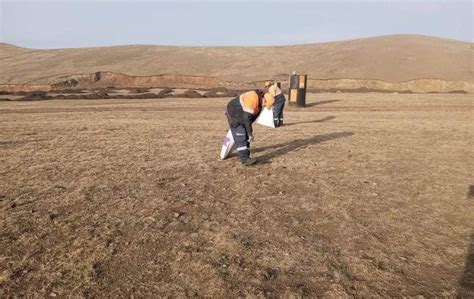 ФОТО Цагаан давааны хогийн цэгийн 4 га талбайг нөхөн сэргээж зүлэгжүүлжээ