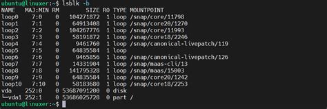 Lsblk Command In Linux LinuxWays