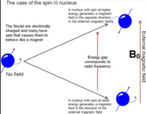 Nuclear Magnetic Resonance And Magnetic Resonance Imaging Surgery In Gurgaon Id 20853508173
