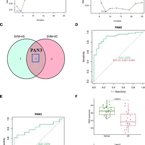 A Svm Rfe To Screen Diagnostic Markers In Gse126124 B Svm Rfe To Download Scientific