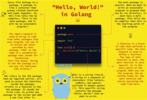 golang programming code softwaredevelopment gobasics mesut o