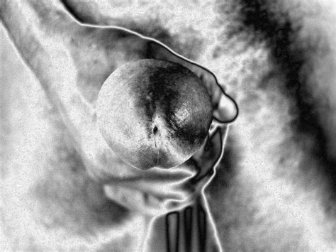 Cock Art 7 Heterojizzproducer