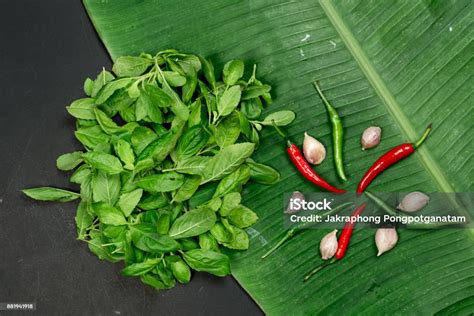 붉은 고추와 마늘 바나나 잎 배경에 포함 Copyspace 텍스트 또는 그래픽 추가 0명에 대한 스톡 사진 및 기타 이미지 0명 건강한 식생활 레드칠리페퍼 Istock