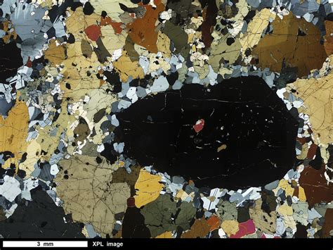 Amphibolite