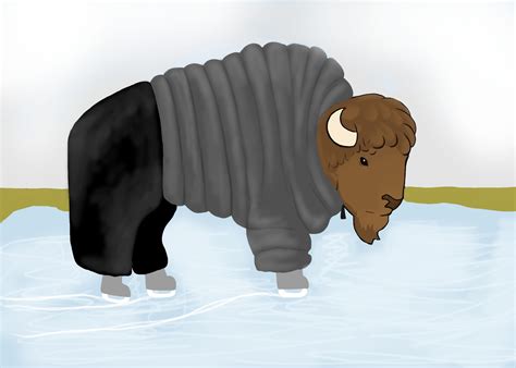 Toban Tracks — A Holiday Miracle The Manitoban