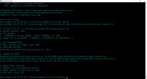 Sles15 Fleet Server Agent Gets Into Offline State On Machine Reboot