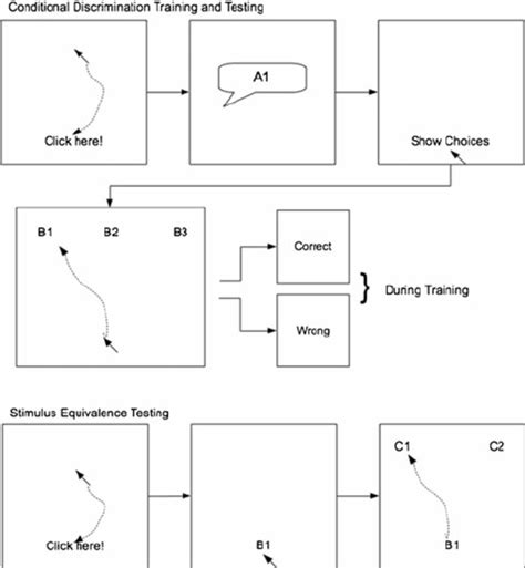Diagrammatic Representations Of The Procedure During Conditional