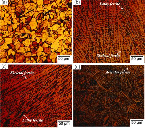 Microstructure Lom Micrograph Of Electro Etched A Aisi 316 Bm B