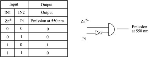 the table and the circuit based on zn2 and pi as chemical inputs and