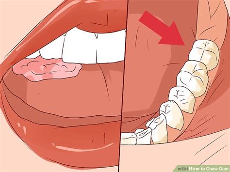 How To Chew Gum Steps With Pictures WikiHow