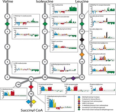 Pathway Analysis Tools