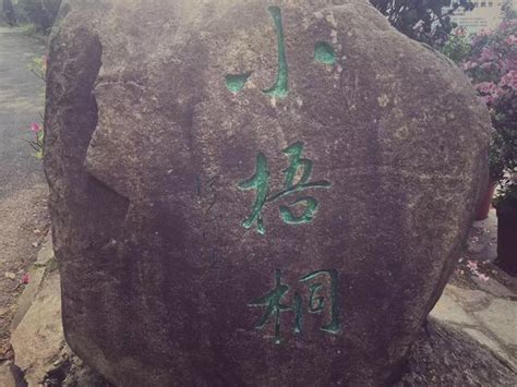 游戏运营数据分析（测试期）：玩法、养成和商业化 知乎