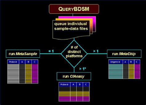 Workflow Schema For The Querybdsm Module Of Bdsm Individual Files Of